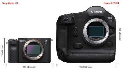 Sony Alpha 7C vs. Canon EOS R1 im Systemkamera-Vergleich